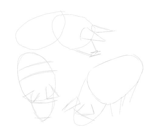 Pig Drawing tutorial with twenty eight illustrations.